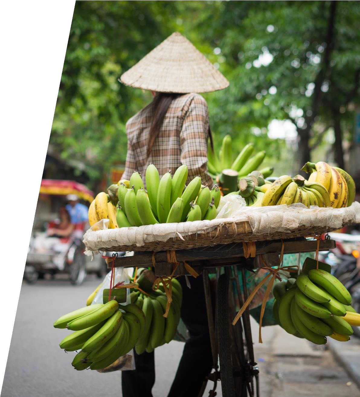 Urban food systems in Asia: COVID-19, food security and resilience - Dikoda